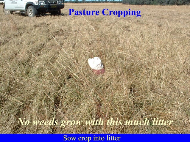Pasture Cropping - Profitable Regenerative Agriculture Presented by ...