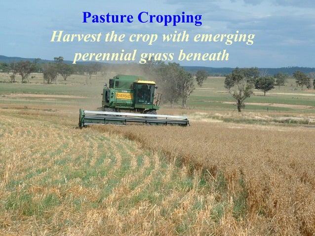 Pasture Cropping - Profitable Regenerative Agriculture Presented by ...