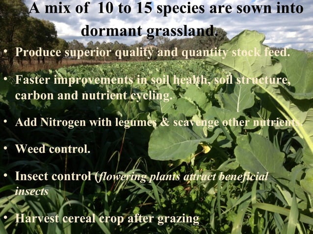 Pasture Cropping - Profitable Regenerative Agriculture Presented by ...