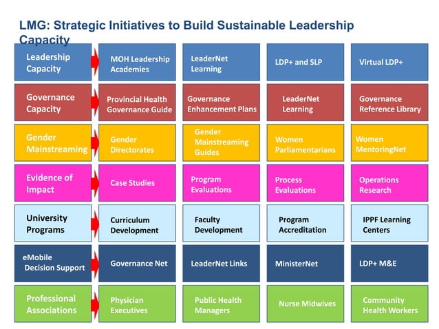 LMG Project Overview Presentation | PPTX | Pharmaceutical Industry ...