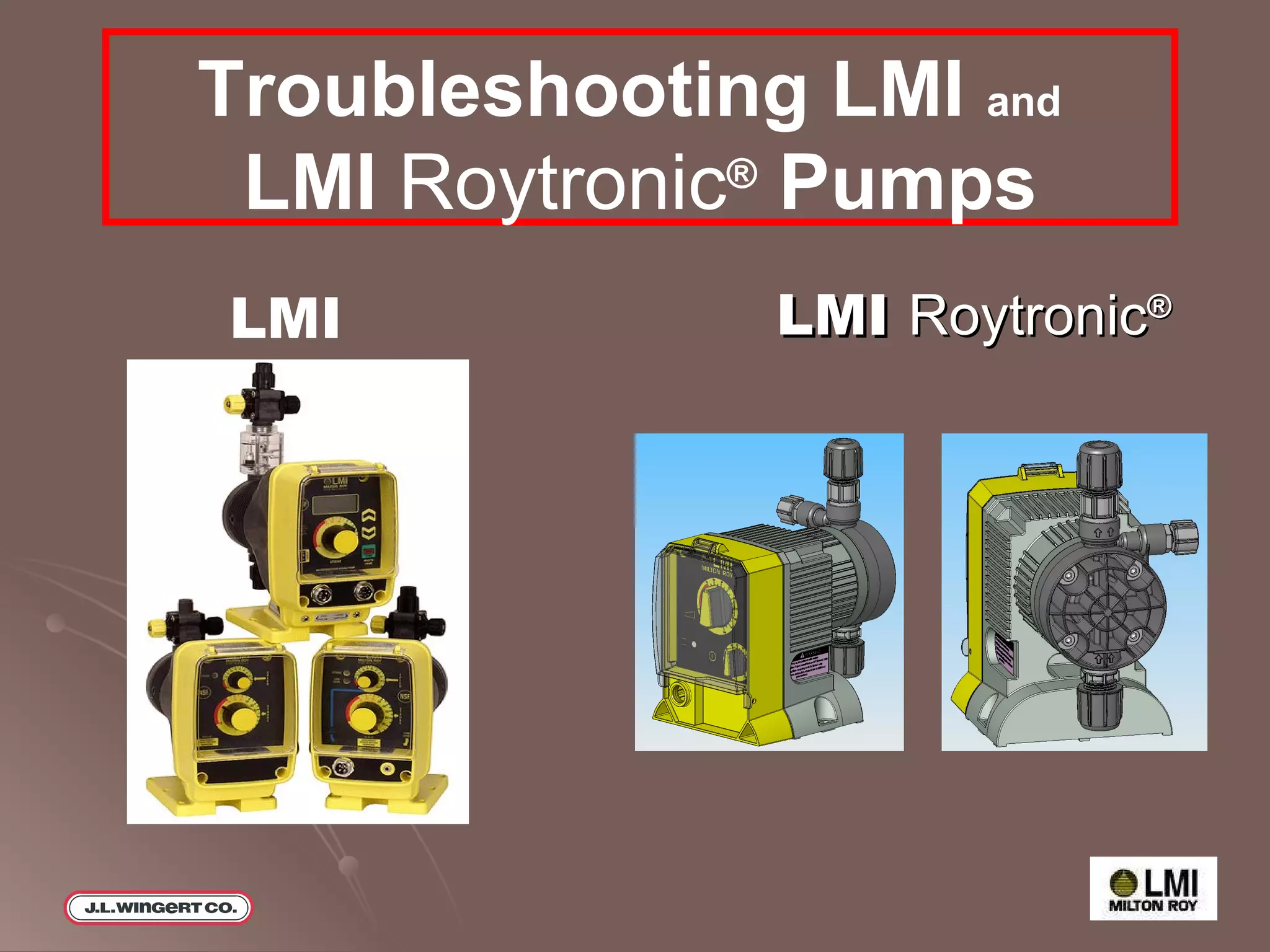 How to Fix LMI and Roytronic Metering Pumps | PPT