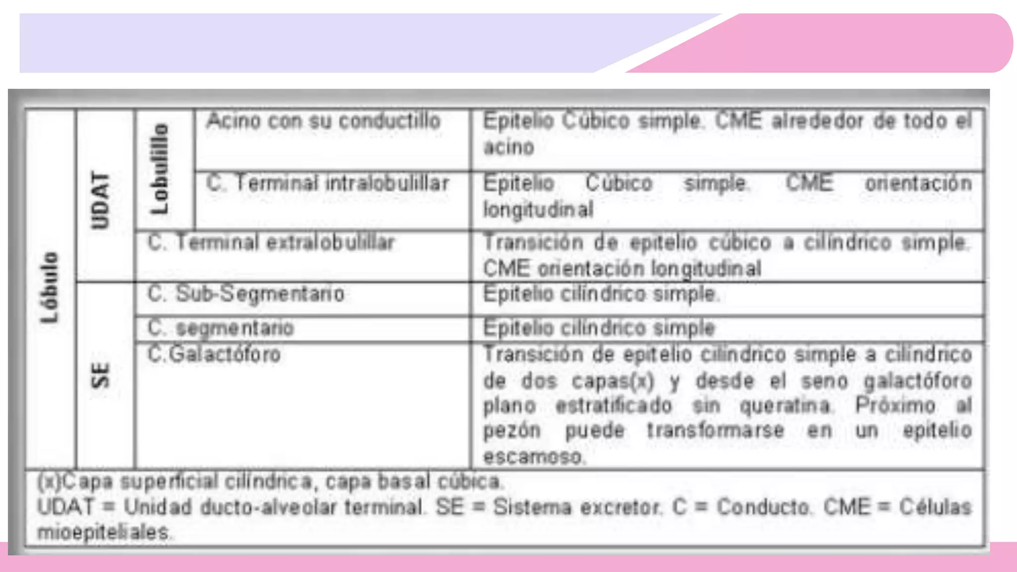 ENFERMEDADES_PROLIFERATIVAS_Y_CANCER_DE_MAMA_TAFOYA_IBARRA_ANA_KAREN ...