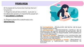 ENFERMEDADES_PROLIFERATIVAS_Y_CANCER_DE_MAMA_TAFOYA_IBARRA_ANA_KAREN ...