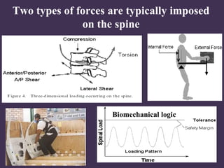 Lumbar Motion Monitor | PPT | Medical Health