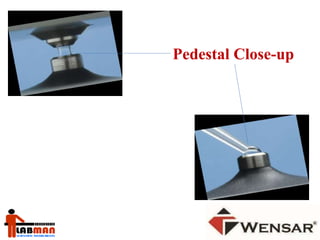 Lmnb 50 series - p | PPTX