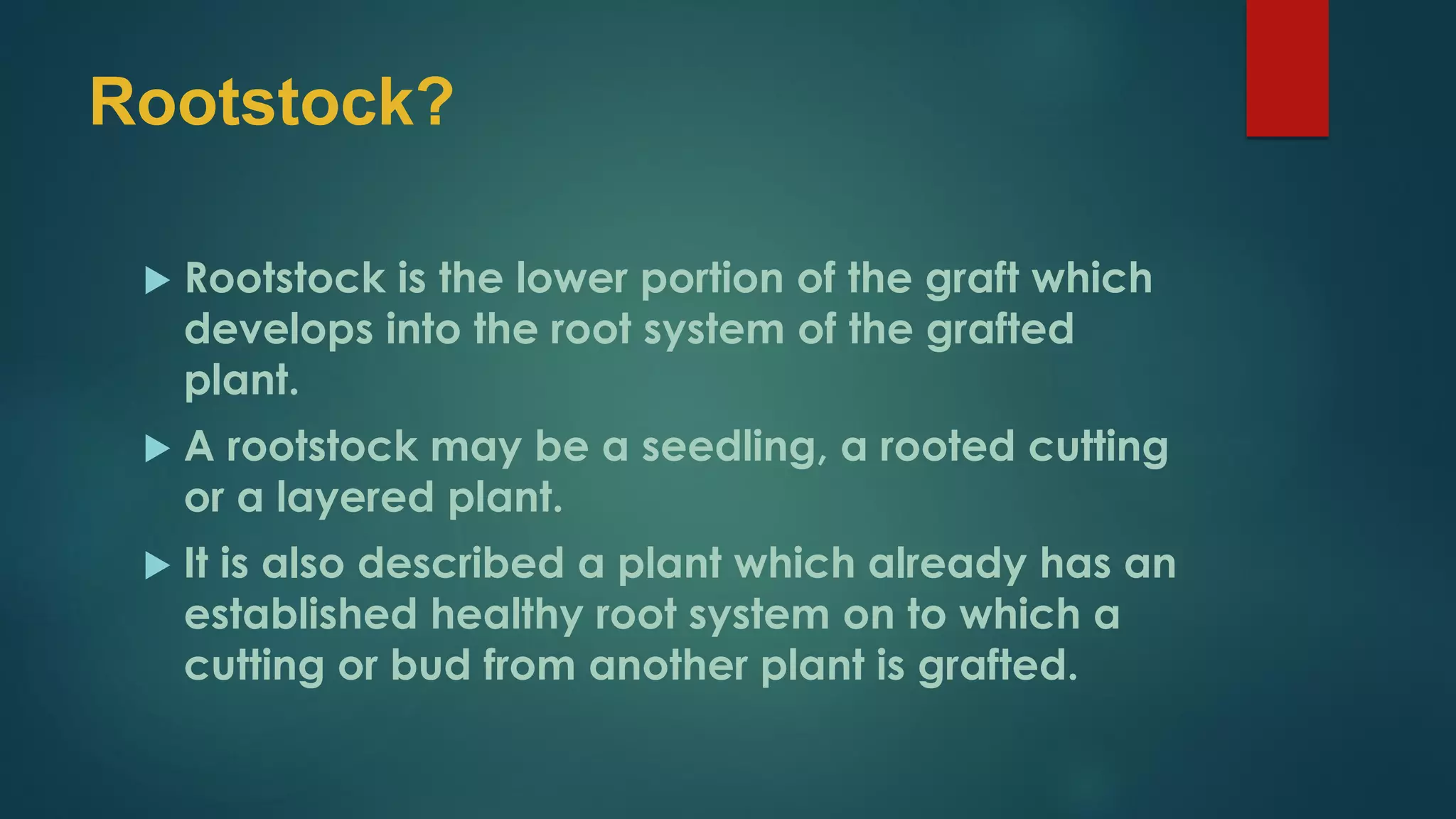 nursery production of fruit crops: definition of rootstocks and scion ...