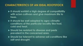 nursery production of fruit crops: definition of rootstocks and scion ...