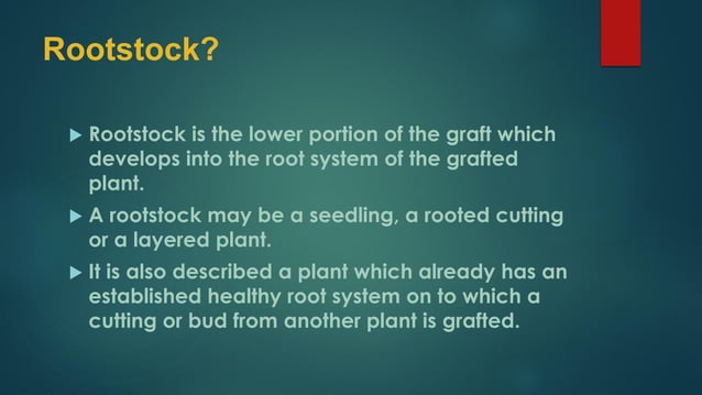 nursery production of fruit crops: definition of rootstocks and scion ...