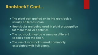 nursery production of fruit crops: definition of rootstocks and scion ...