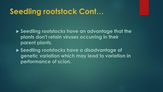 nursery production of fruit crops: definition of rootstocks and scion ...