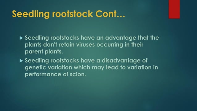 nursery production of fruit crops: definition of rootstocks and scion ...