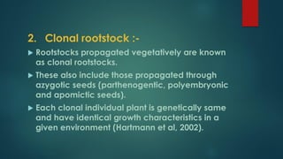 nursery production of fruit crops: definition of rootstocks and scion ...