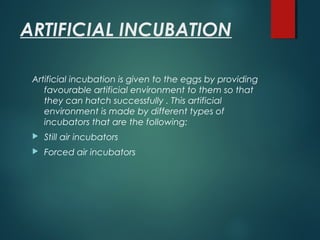 Incubation of Poultry | PPT