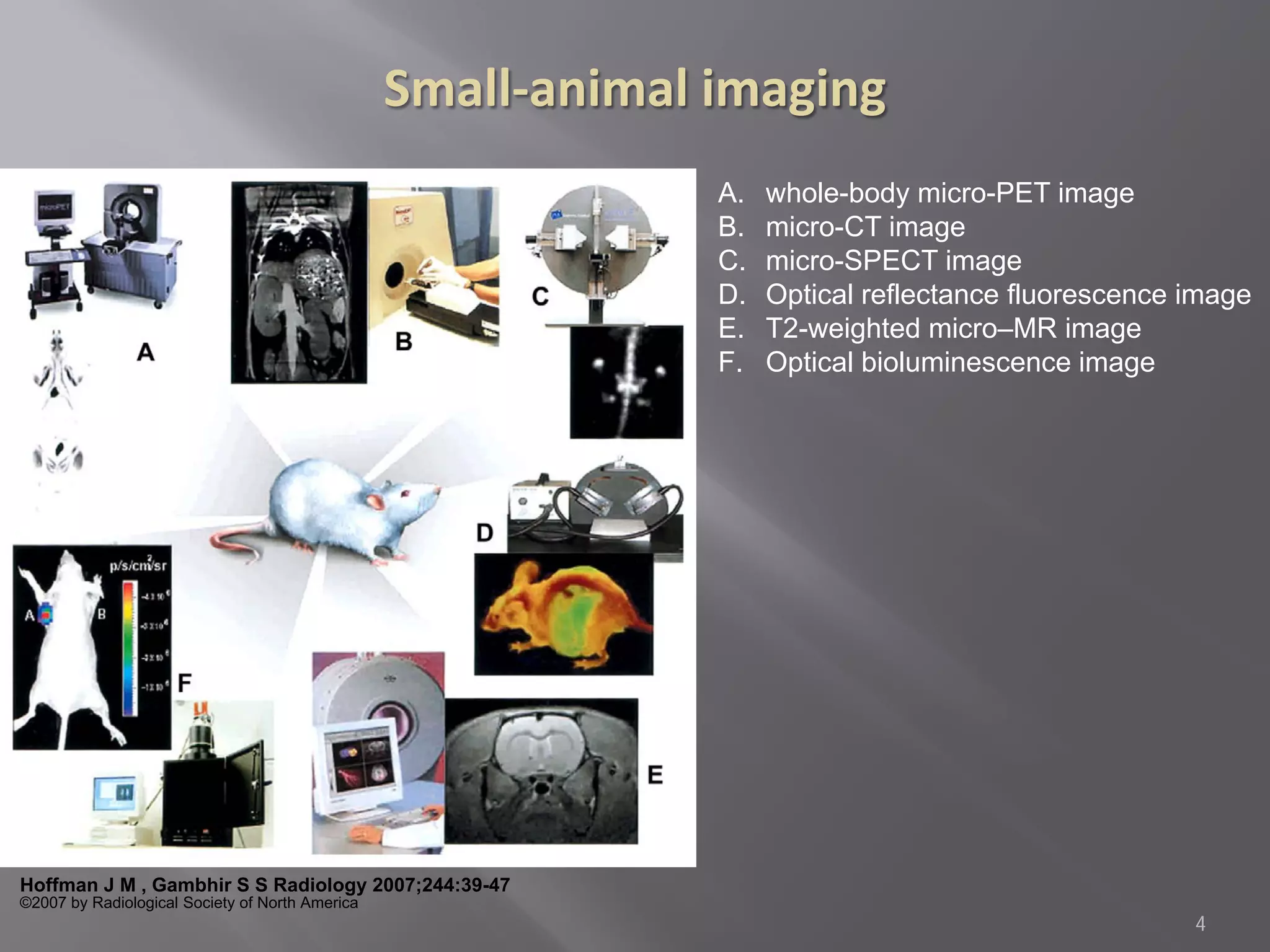 Picturing Science: An overview of Imaging Technologies | PDF