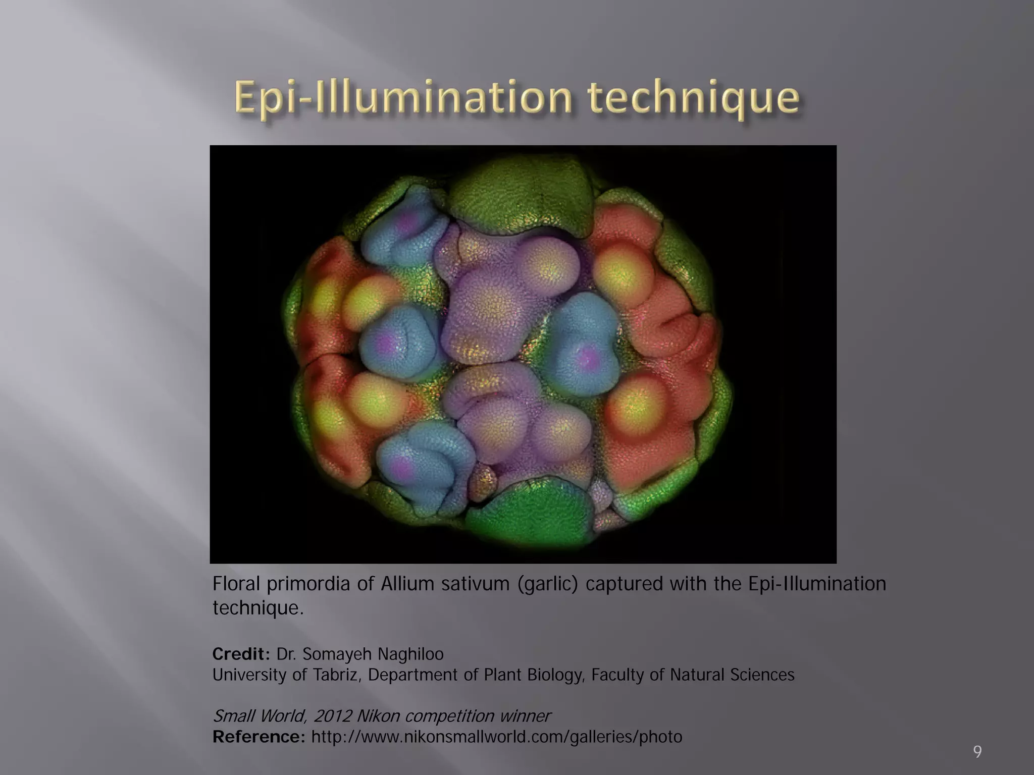 Picturing Science: An overview of Imaging Technologies | PDF