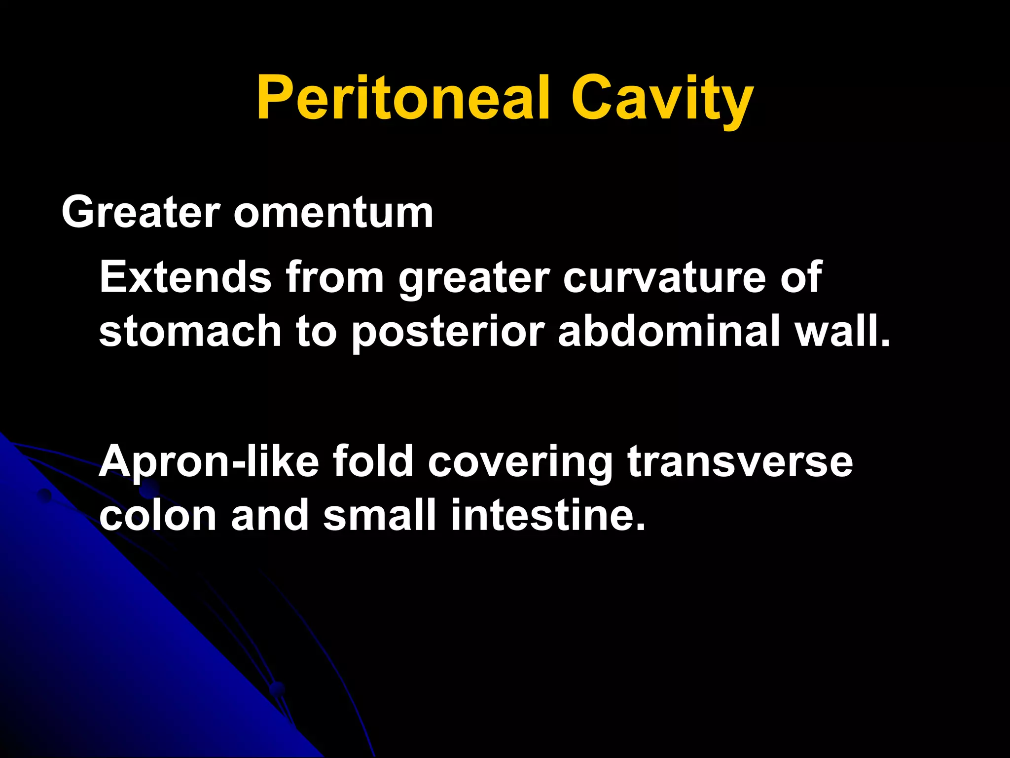 abdominal cavity | PPT