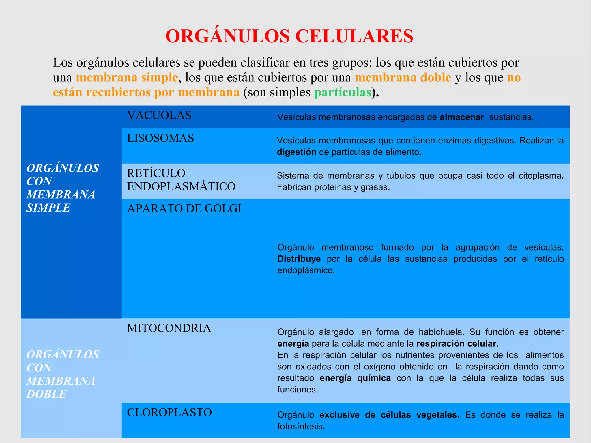 Presentación Tema 3. La célula y la teoría celular | PPT