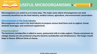 microorganism | PPTX