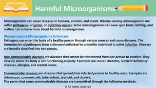 microorganism | PPTX