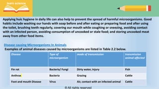 microorganism | PPTX