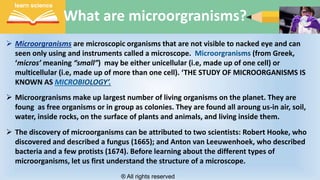 microorganism | PPTX
