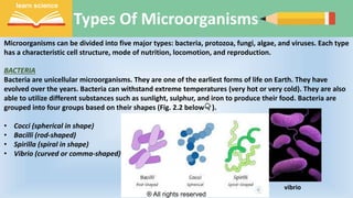 microorganism | PPTX