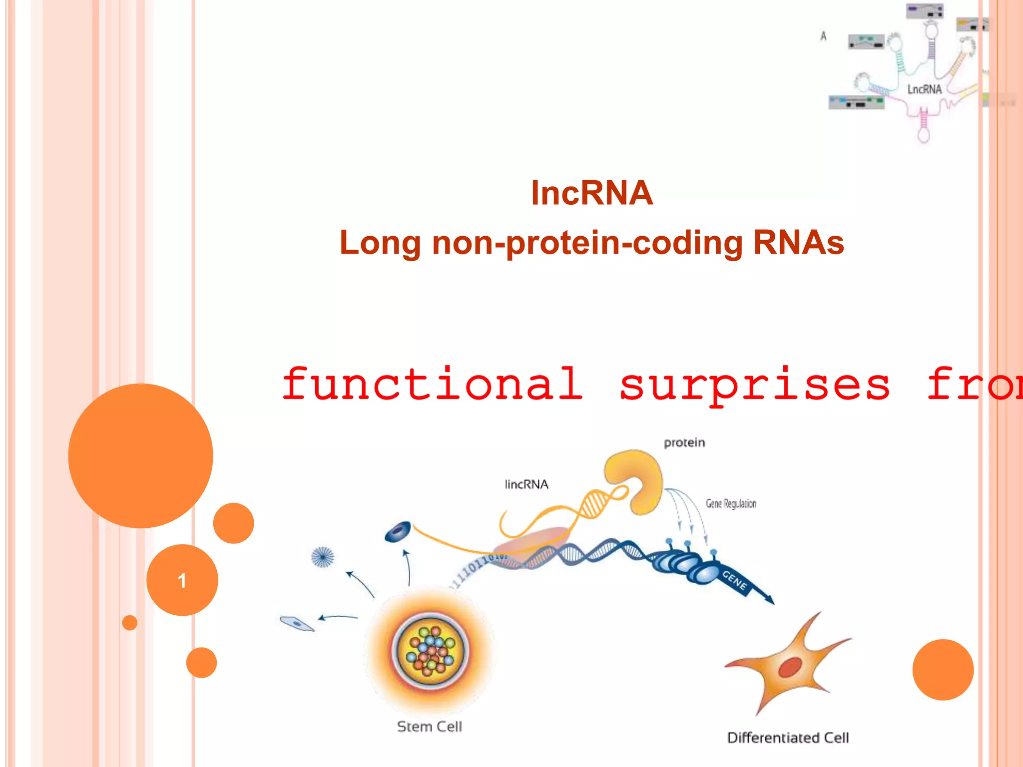 LncRNA (Long noncoding RNA) | PPSX