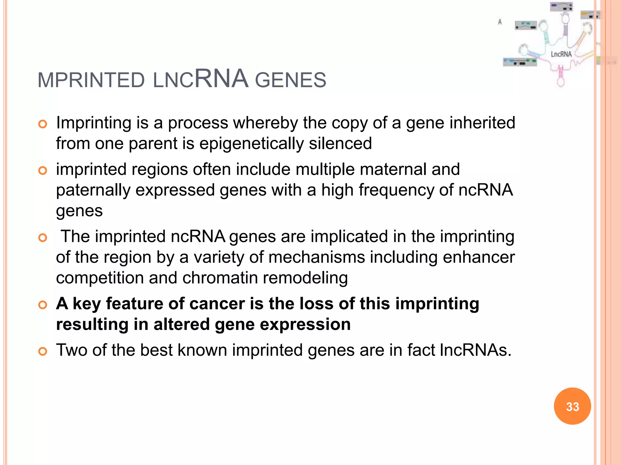 LncRNA (Long noncoding RNA) | PPSX