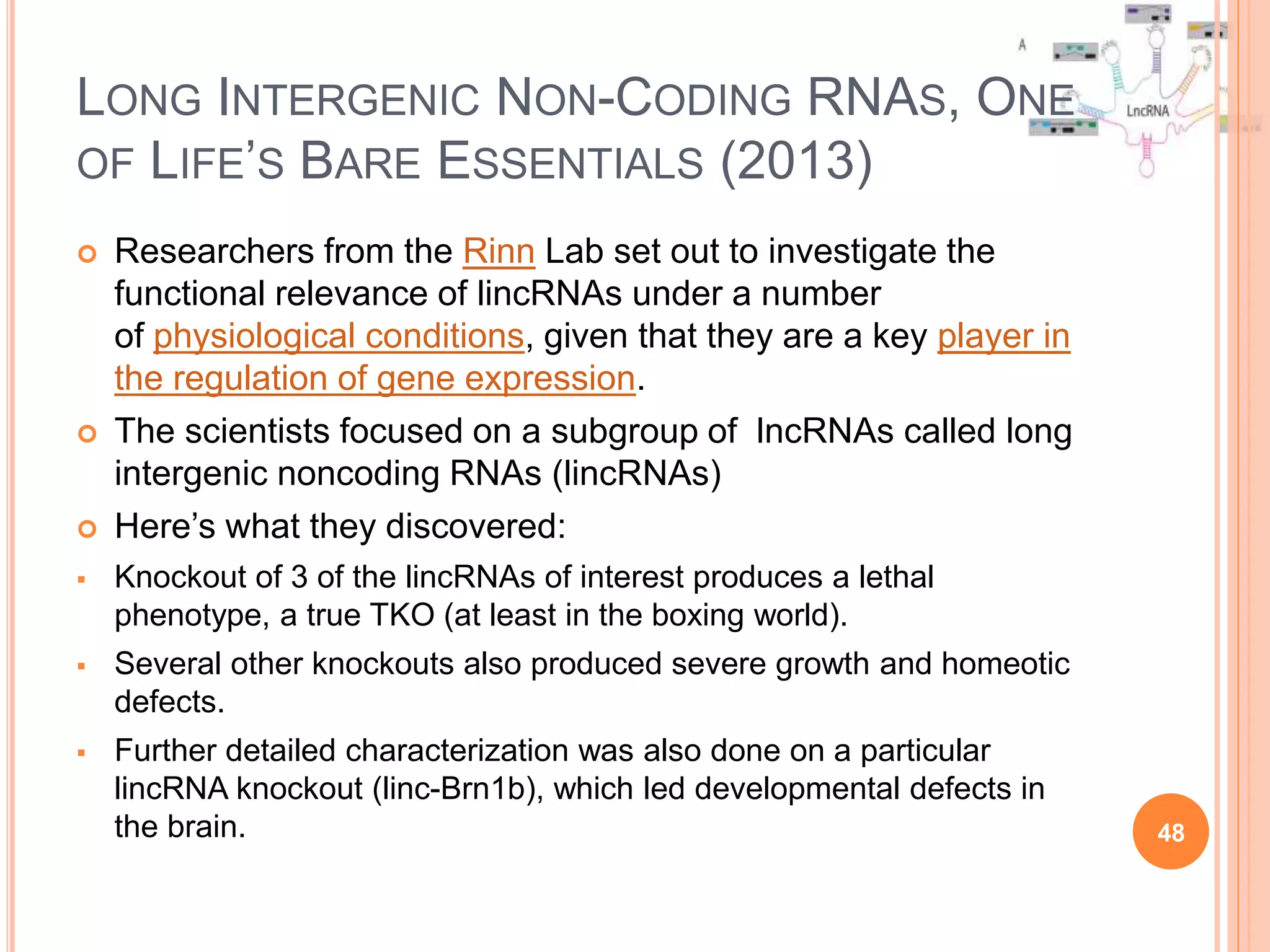 LncRNA (Long noncoding RNA) | PPSX