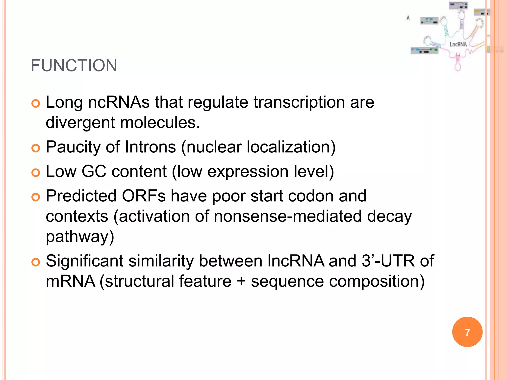 LncRNA (Long noncoding RNA) | PPSX