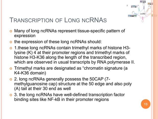 LncRNA (Long noncoding RNA) | PPSX
