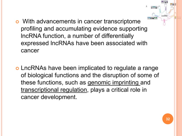 LncRNA (Long noncoding RNA) | PPSX