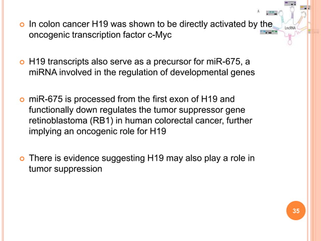 LncRNA (Long noncoding RNA) | PPSX
