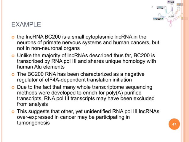 LncRNA (Long noncoding RNA) | PPSX