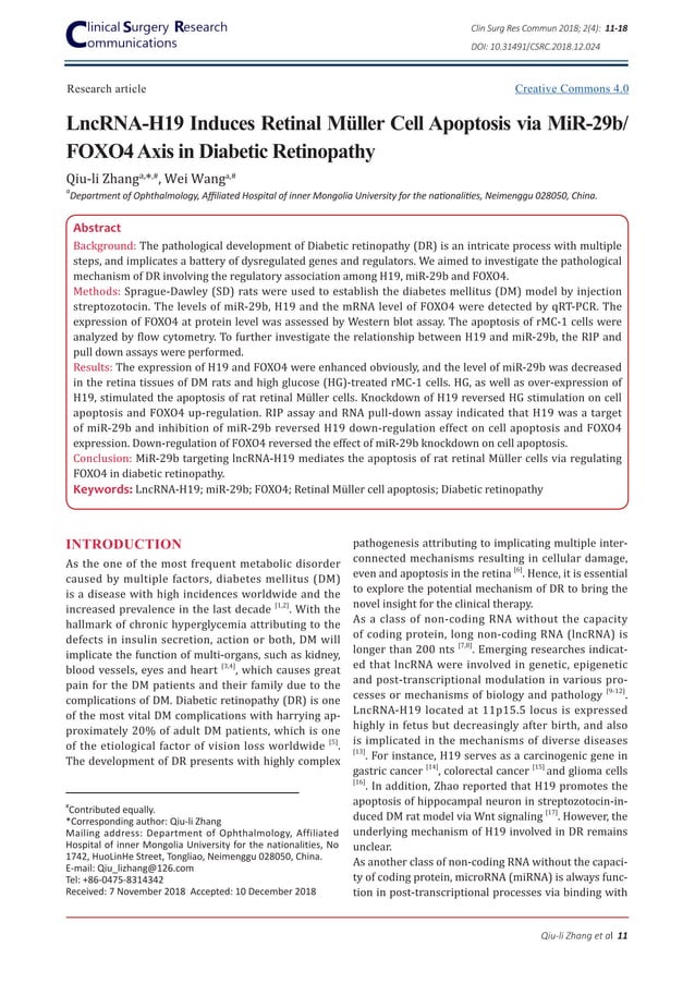 Lnc rna h19 induces retinal müller cell apoptosis via mir-29b foxo4 axis in diabetic retinopathy ...