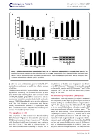 Lnc rna h19 induces retinal müller cell apoptosis via mir-29b foxo4 axis in diabetic retinopathy ...