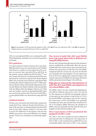 Lnc rna h19 induces retinal müller cell apoptosis via mir-29b foxo4 axis in diabetic retinopathy ...