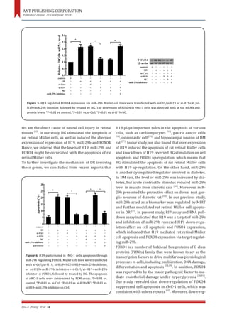 Lnc rna h19 induces retinal müller cell apoptosis via mir-29b foxo4 axis in diabetic retinopathy ...