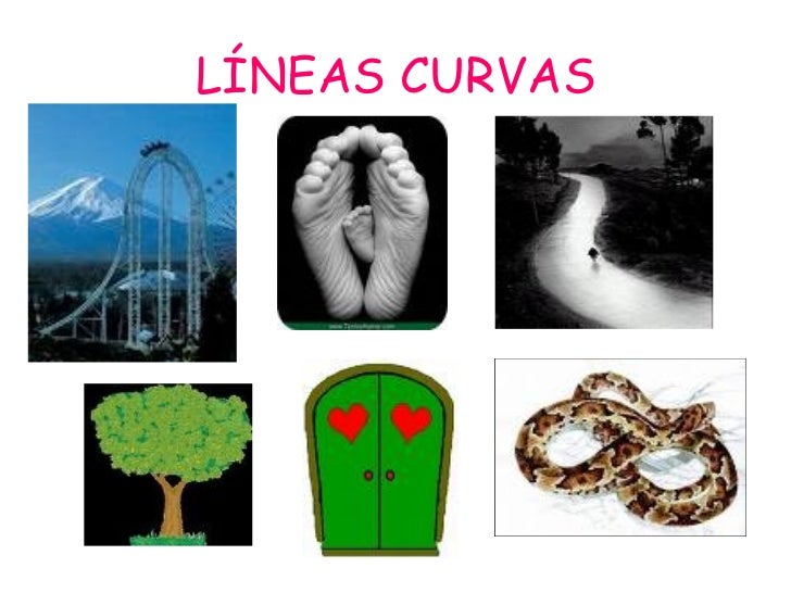 Líneas rectas y curvas 2010