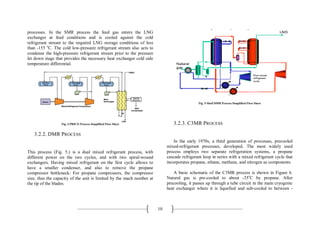 LNG | PDF