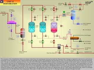 LNG PLANT DESIGN is most critical and seroins | PPT