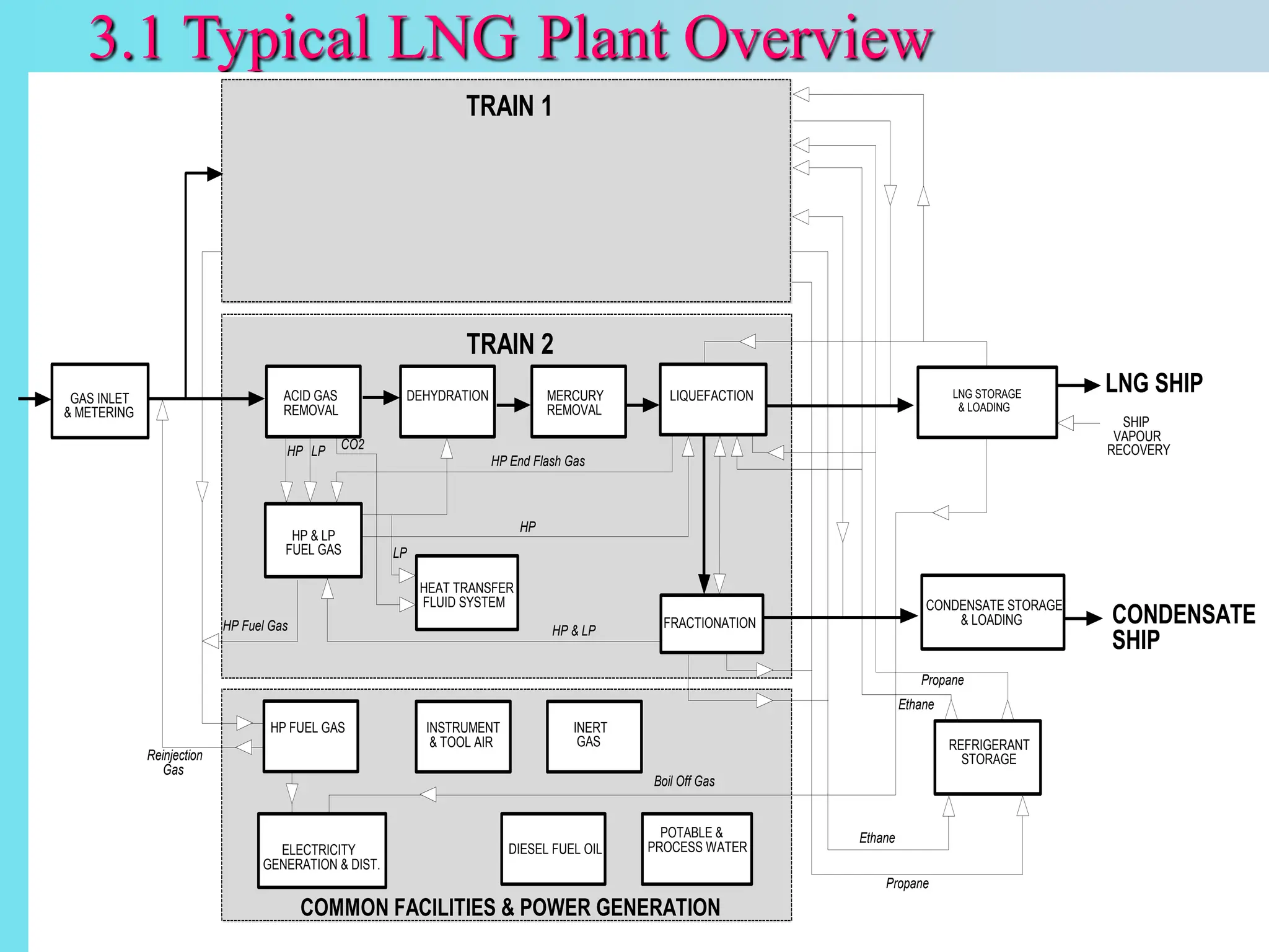 LNG Processing Overview for natural gas.pdf