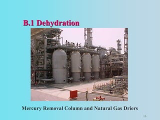 LNG Processing Overview for natural gas.pdf