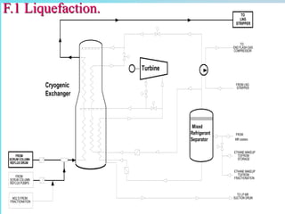 LNG Processing Overview for natural gas.pdf