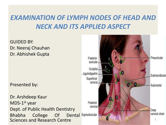 LN HEAD AND NECK.pptx | Ear, Nose and Throat Conditions | Diseases and ...