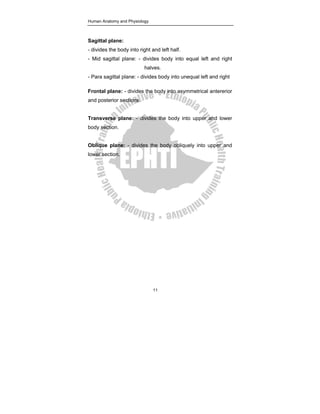 Human Anatomy and physiology Lecture pdf | PDF