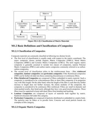 LNm1.pdf