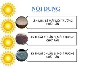 Lên men | PPTX