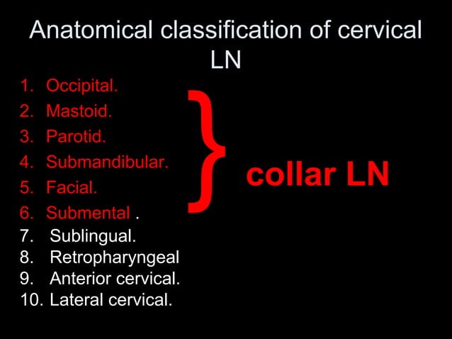 Ln of head & neck | PPT