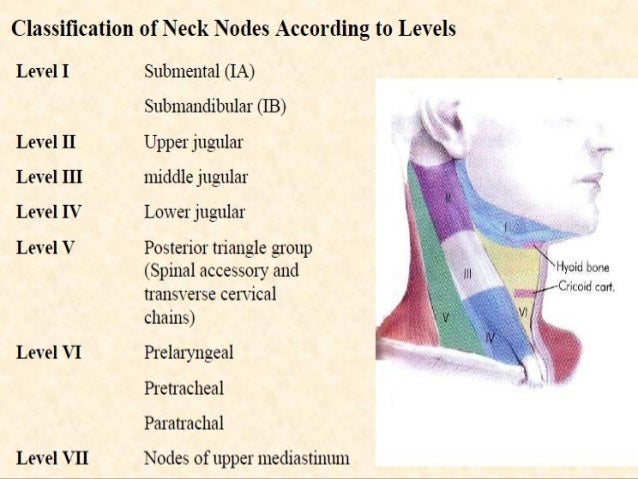 Ln of head & neck